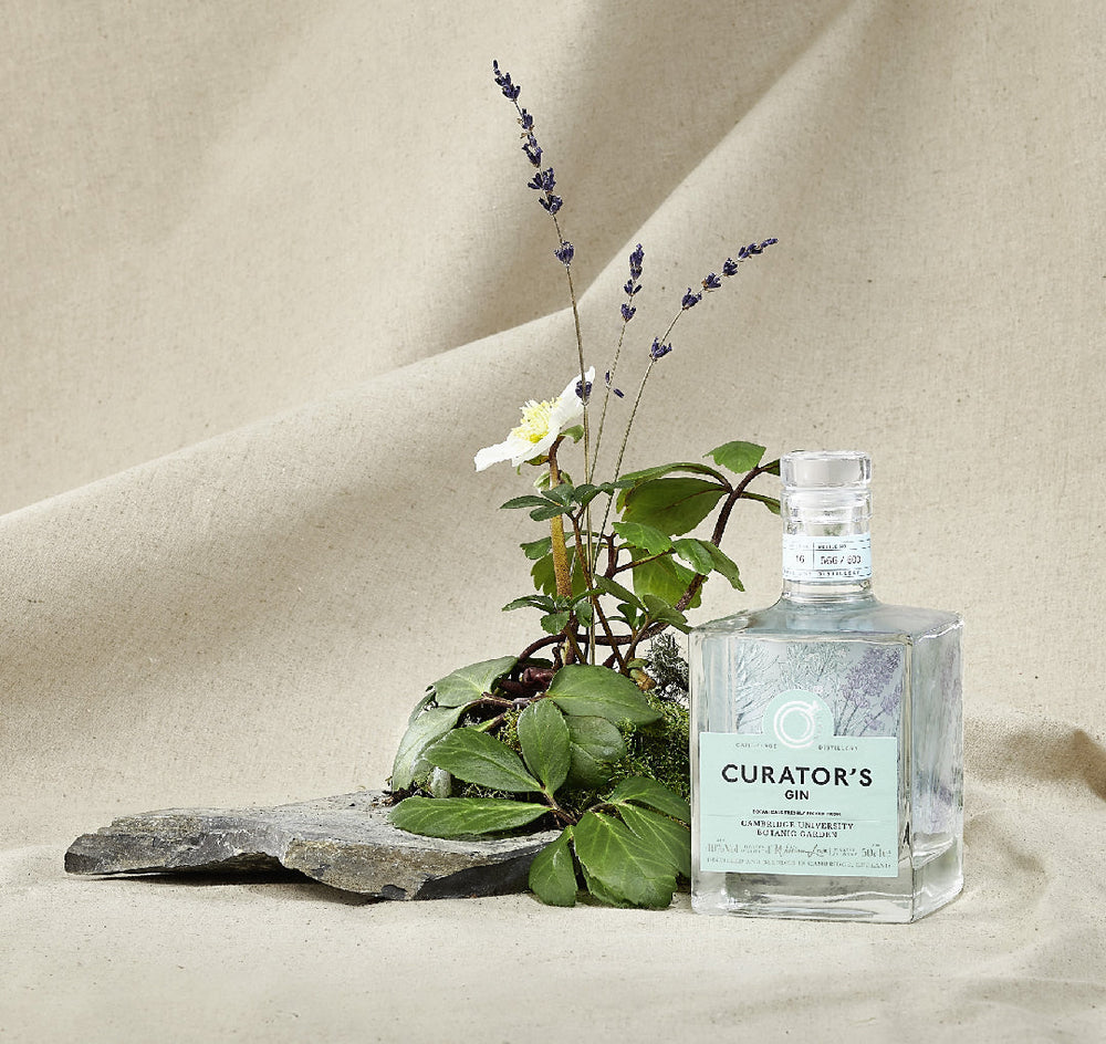 Cambridge Gin Laboratory